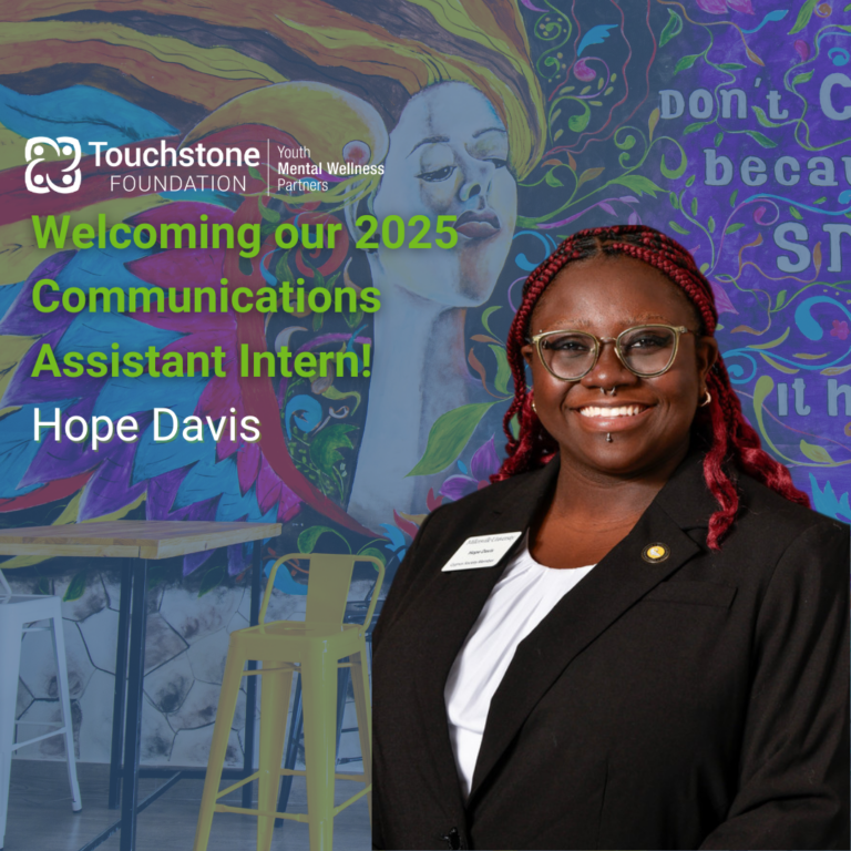 Touchstone Foundation: youth mental wellness partners – Elevating the ...