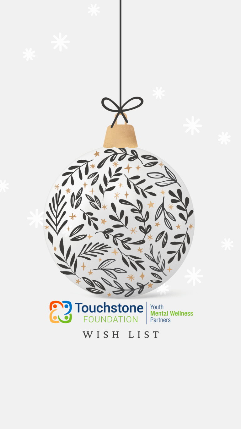 Touchstone Foundation: youth mental wellness partners – Elevating the ...